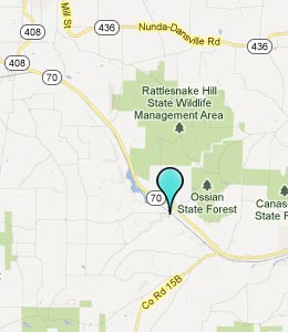 Map swain ny